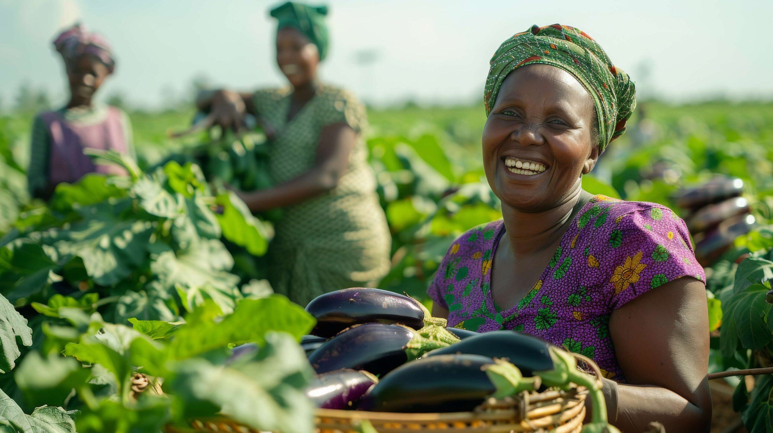 Policy Advocacy – Agricultural Society of Africa